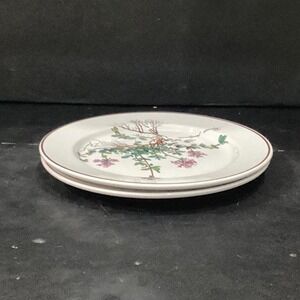 Villeroy & Boch | Dining | Villeroy Boch Botanica Salad Plates Set Of 2 ...